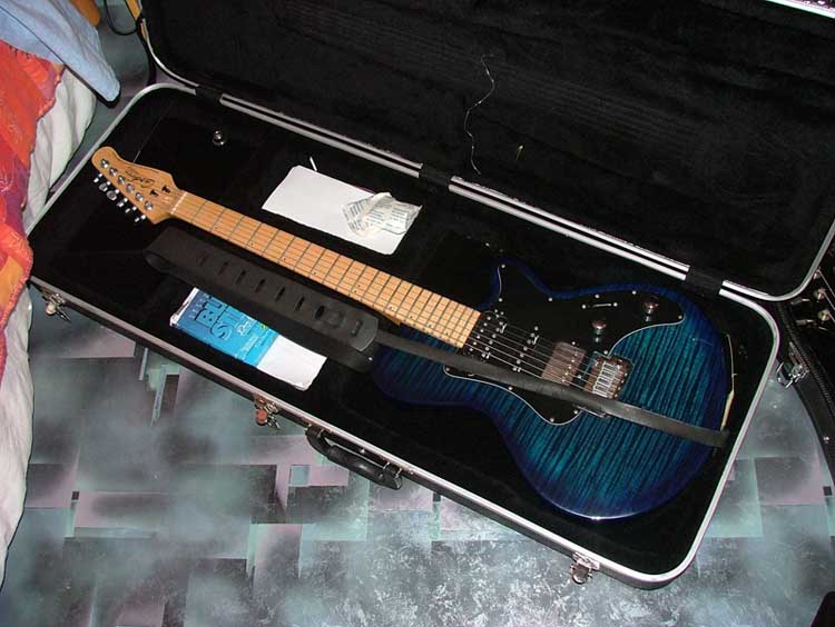 Godin SDxt - Petite Annonce TrocMusic