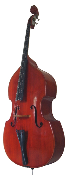 Cours de Contrebasse Jazz & Classique - Petite Annonce TrocMusic