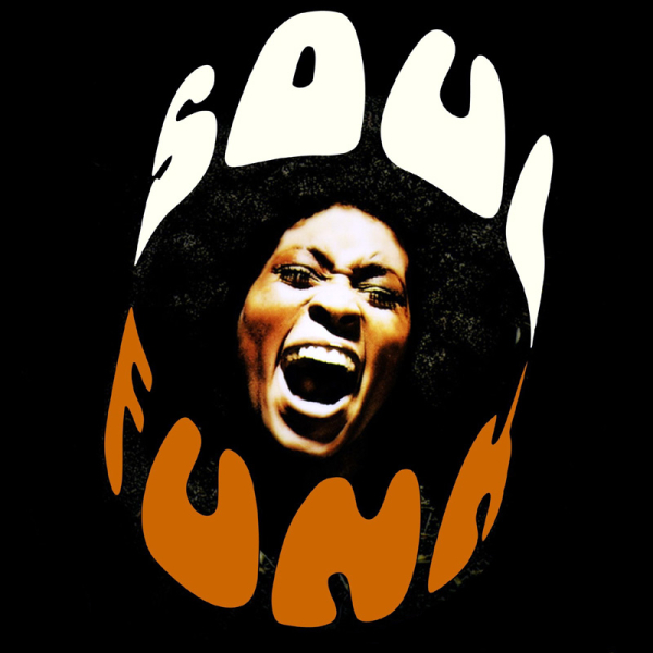 33T FUNK SOUL - Petite Annonce TrocMusic