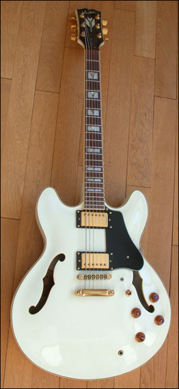 Guitare Vester 700 - Petite Annonce TrocMusic