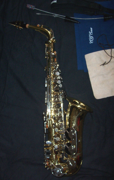 Alto Saxophone Selmer AS300 - Petite Annonce TrocMusic