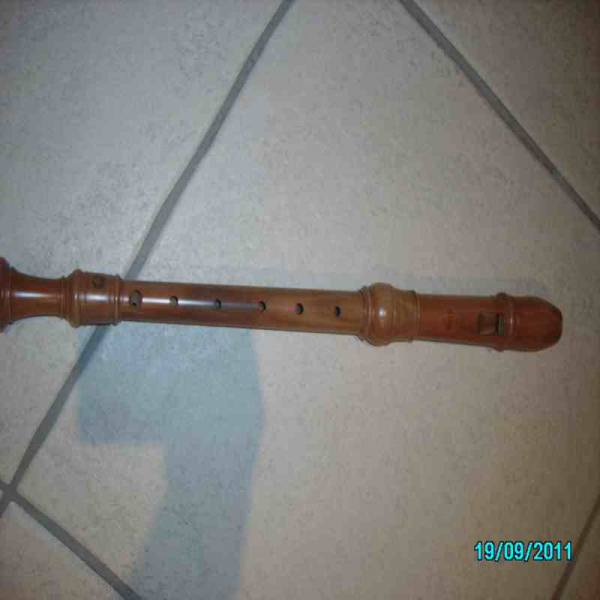 Flute a Bec Alto Moeck - Petite Annonce TrocMusic