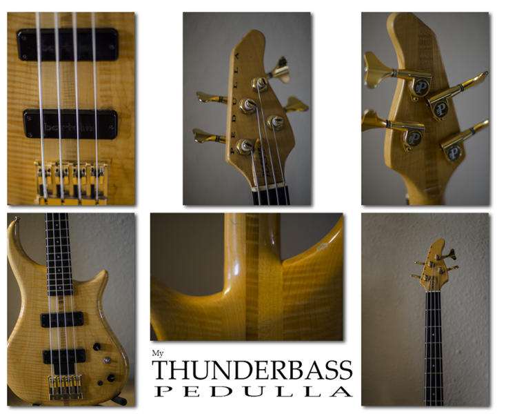 Pedulla Thunderbass - Petite Annonce TrocMusic