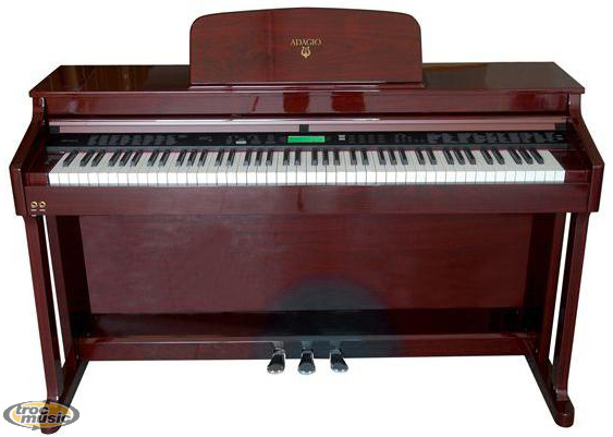 Delson 88 Mezzo Finition Rosewood - Petite Annonce TrocMusic