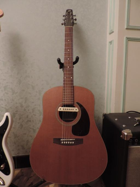 Photo Seagull M6 cedar » Instruments de Musique - Annonce TrocMusic